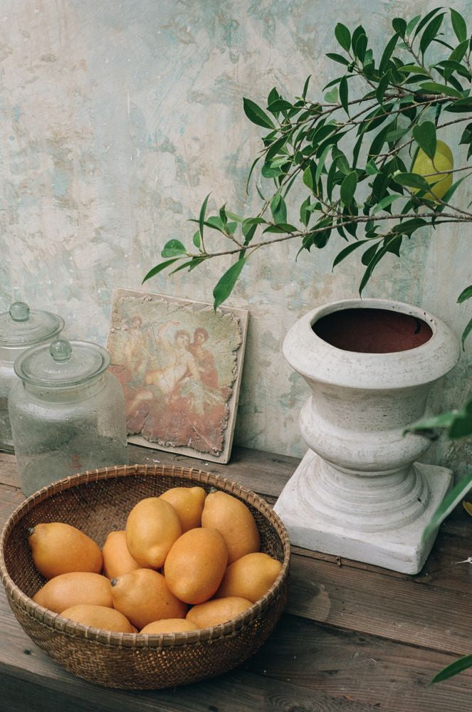 Carmen Campaign – Isabelle Quinn